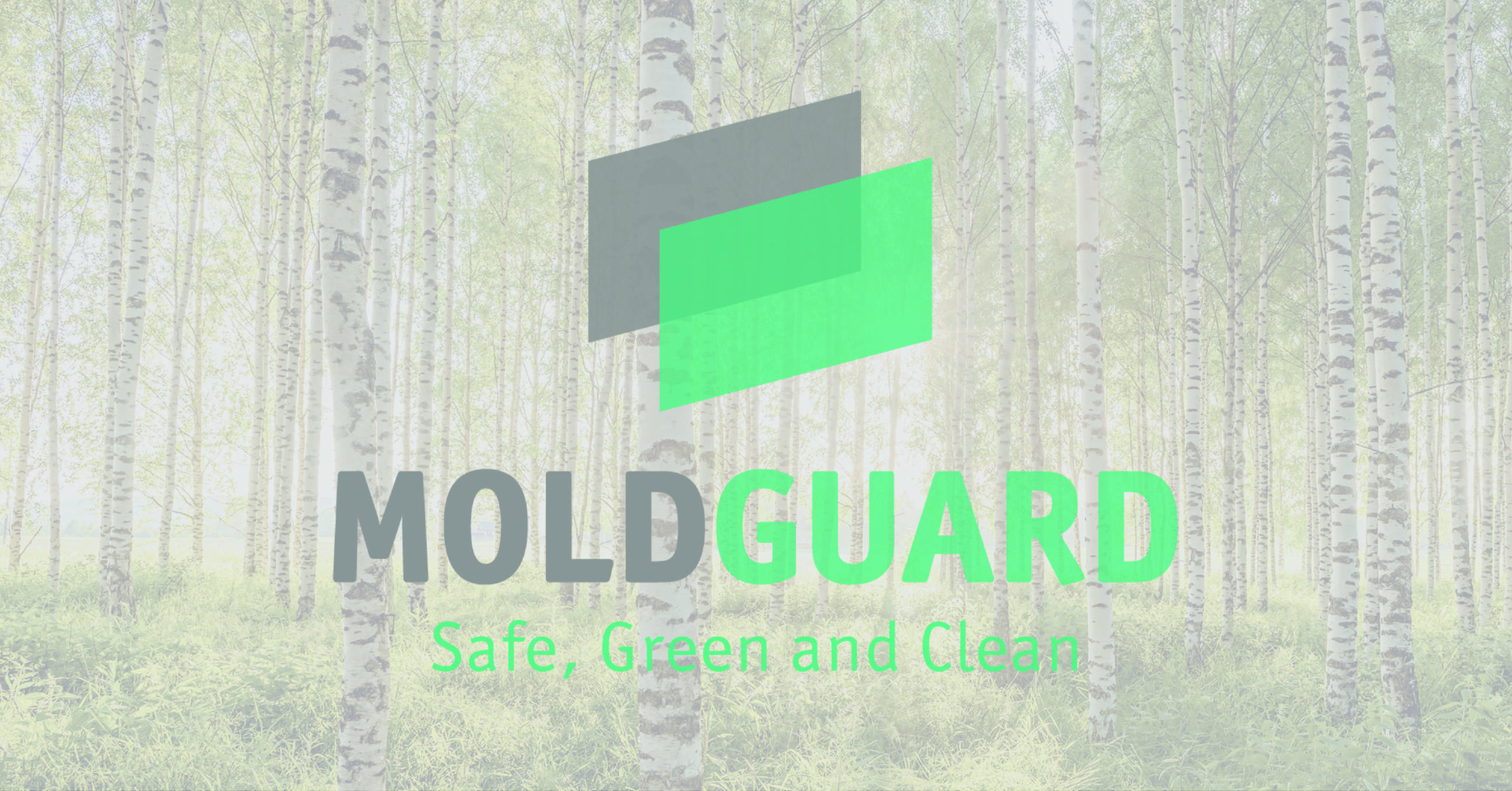 Moldguard GmbH – green & clean